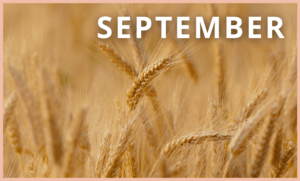 Awards Open in September 2022 - August Recognition Business Awards ...